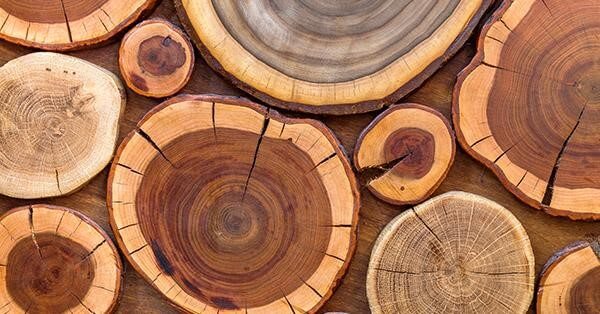 A Complete Guide On How To Choose Best Wood For Furniture